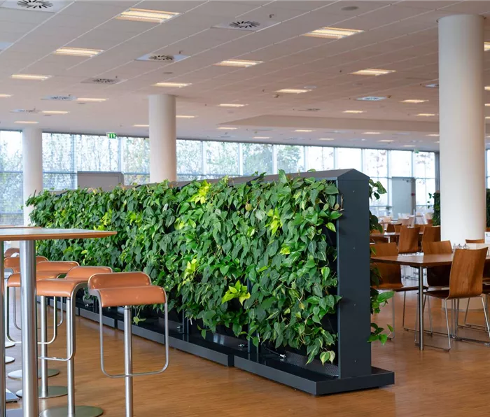 Mobile Raumtrenner inFlora Raumbegrünung